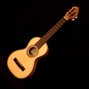 Rajão, Madeira – Musis